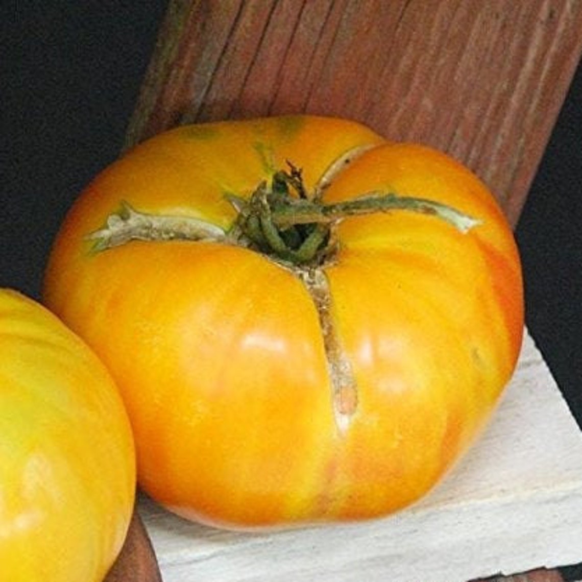 Old German Tomato Seeds - Packet of 10 Seeds - Palm Beach Seed Company ...