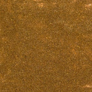 Heather Seeds (calluna Vulgaris) Packet of 20 Seeds - Palm Beach Seed ...