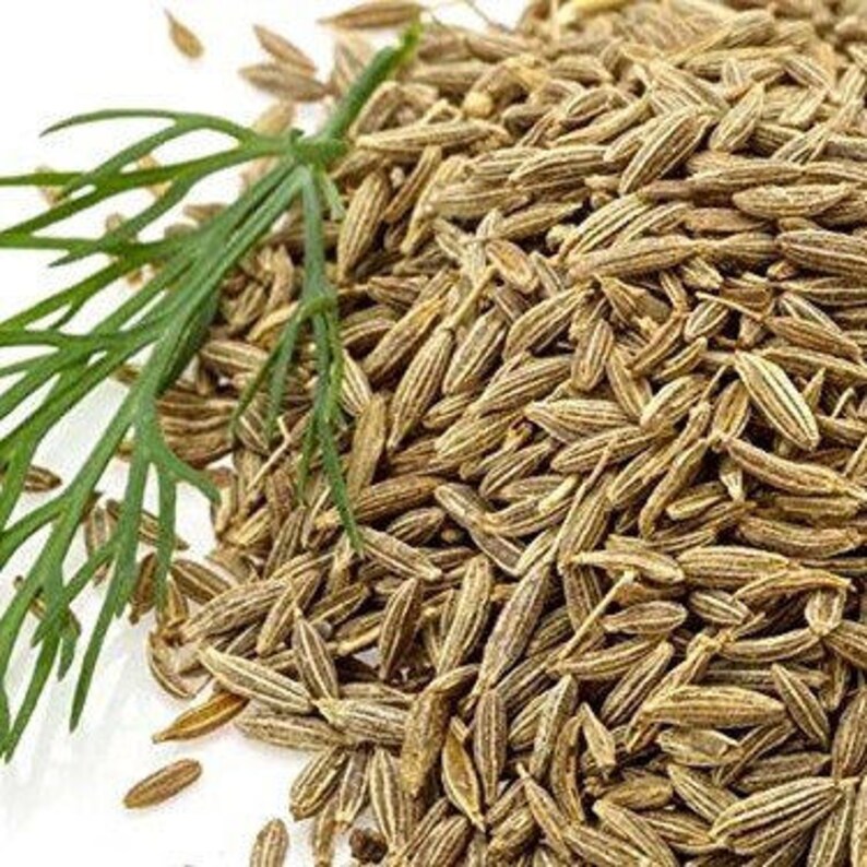 Cumin Seeds cuminum Cyminum 40 Seeds in Frozen Seed - Etsy