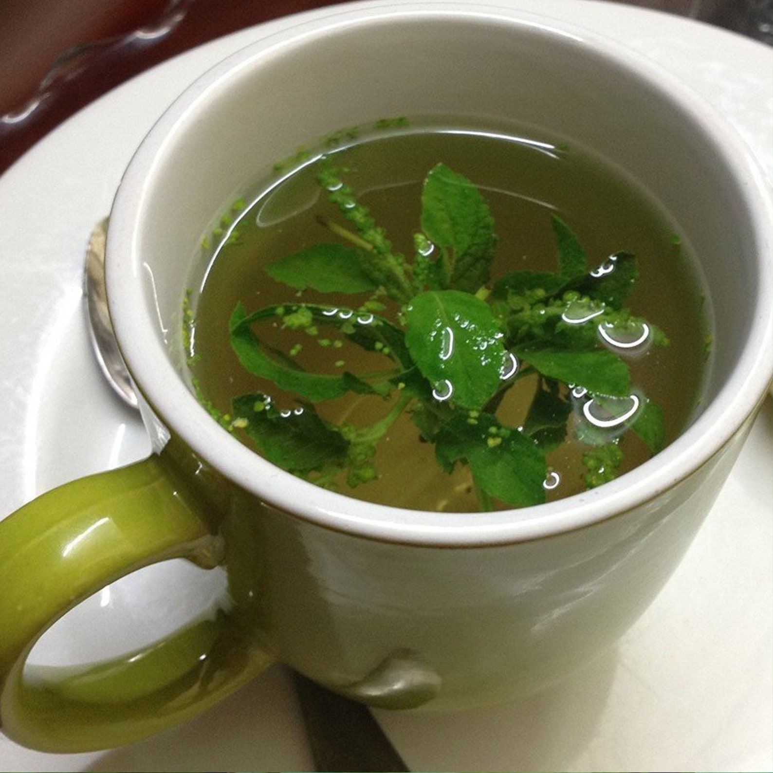 Holy Kaprao Basil 'rama Tulsi' (ocimum Sanctum) 50+ Seeds in Frozen ...