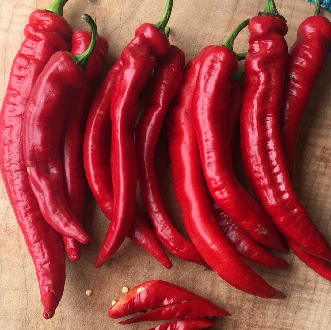 Jimmy Nardello Italian Pepper Seeds 20+ Seeds in Frozen Seed Capsules ...