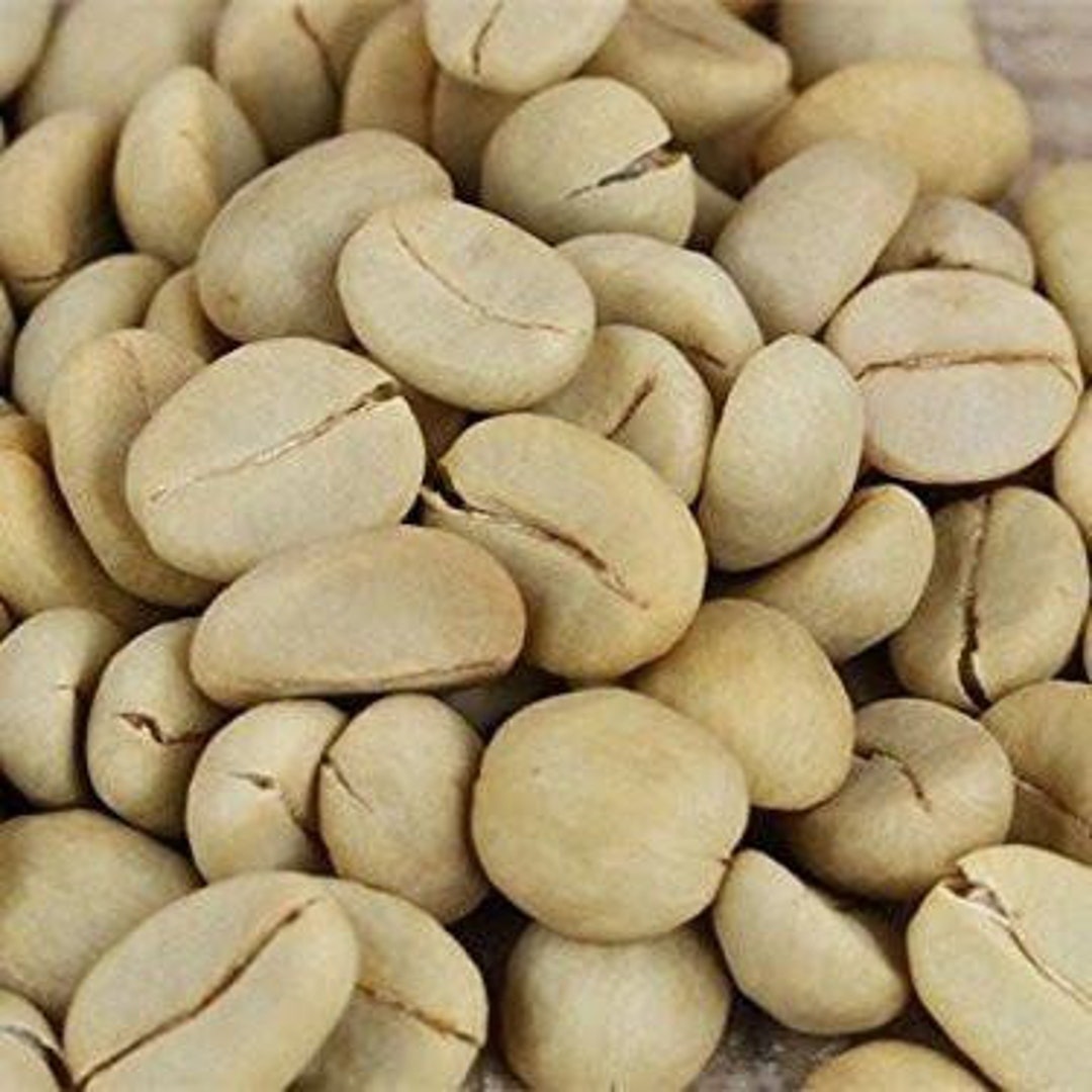 Dwarf Coffee Plant Seeds (coffea Arabica Nana) Packet of 5 Seeds - Palm ...