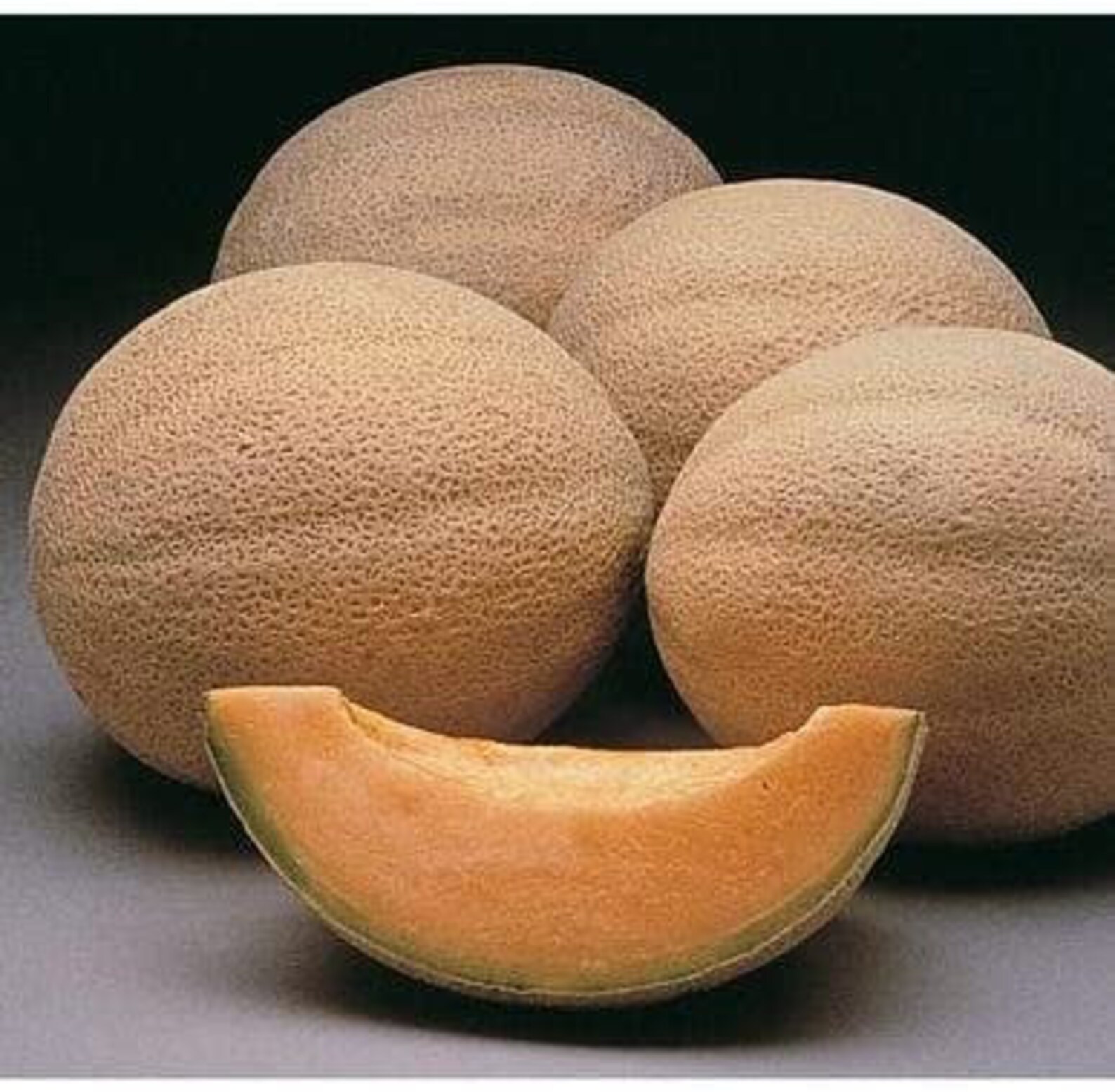 Athena Melon Seeds cucumis Melo Packet of 10 Seeds Palm - Etsy