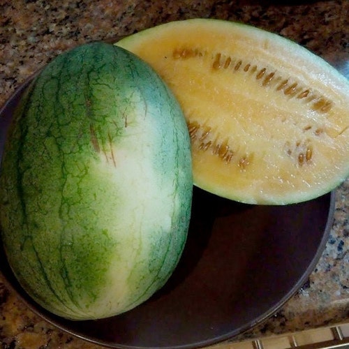 Ali Baba Watermelon Seeds Packet of 20 Seeds Palm Beach - Etsy