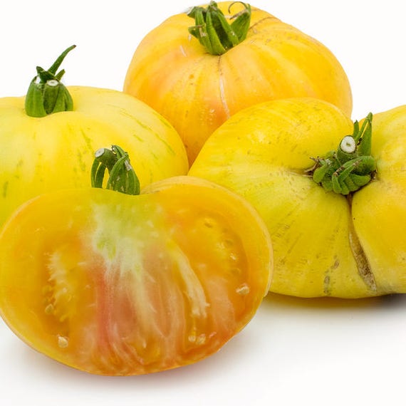 Pineapple Pig Tomato Seeds Packet of 5 Seeds Palm Beach | Etsy