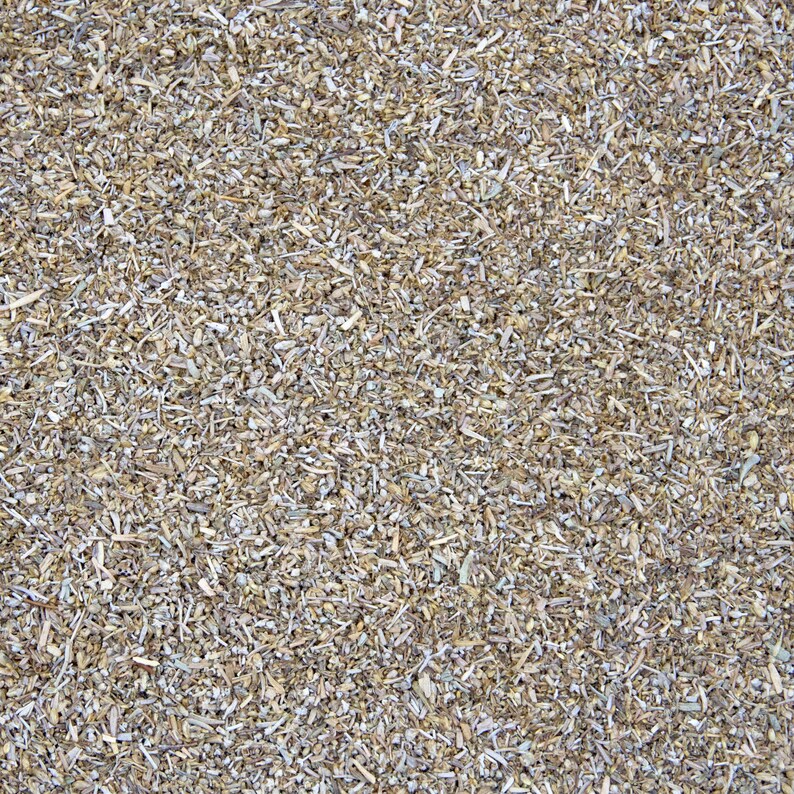 Big Sagebrush Seeds (artemisia Tridentata) Packet of 100 Seeds - Palm ...