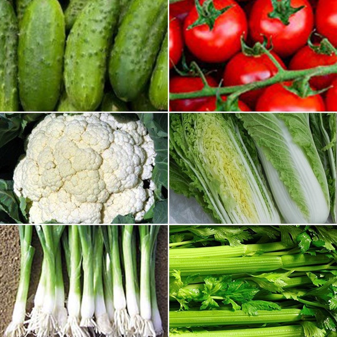 Heirloom Garden Vegetable Seed Collection #2 - 6 Pack Variety of Seeds ...