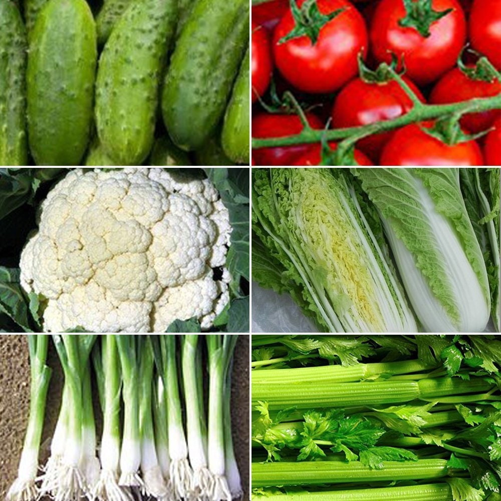 Heirloom Garden Vegetable Seed Collection #2 - 6 Pack Variety of Seeds ...