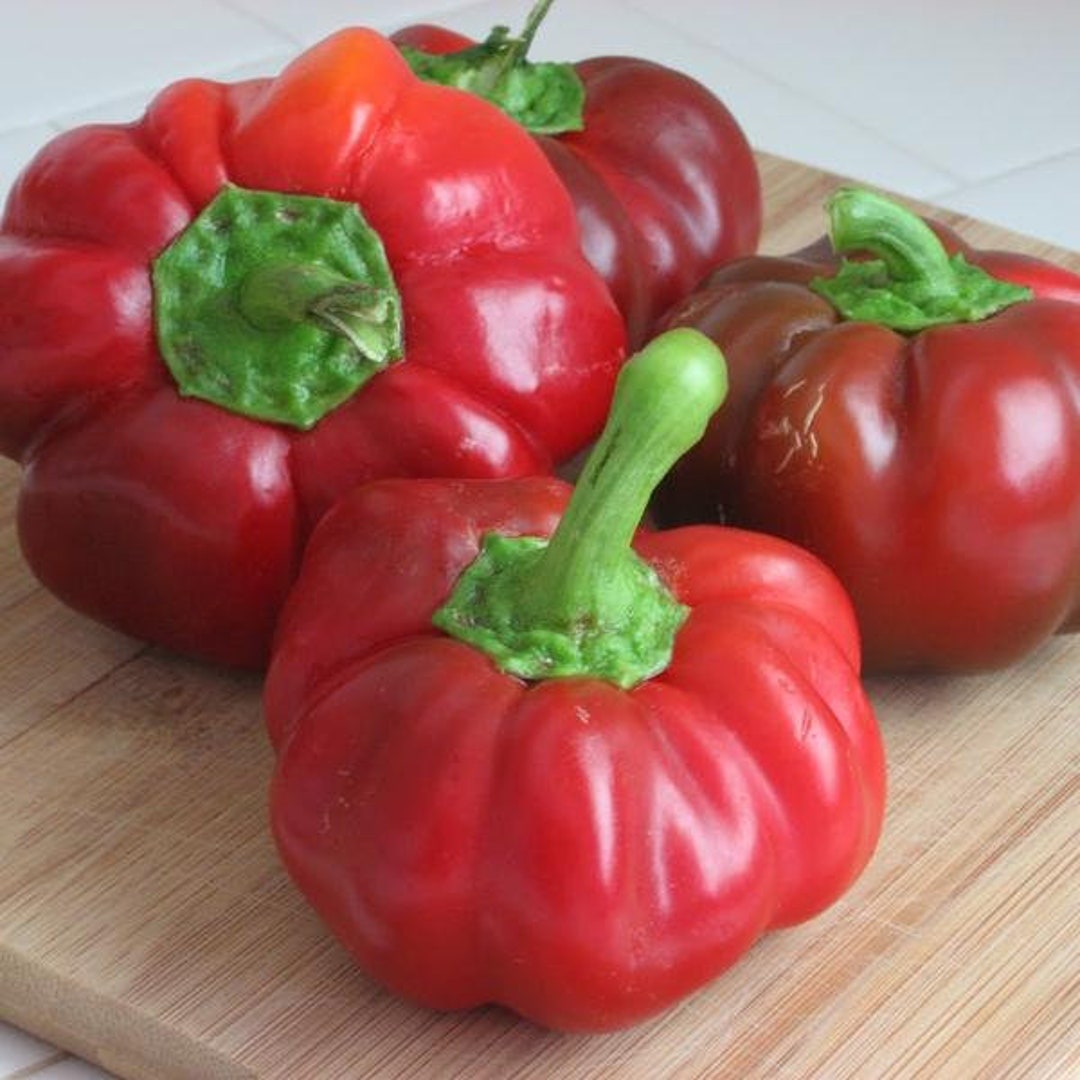 Sheepnose Pimento Pepper Seeds - Packet of 10 Seeds - Palm Beach Seed ...