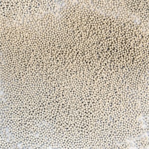 Arena III Red Pelleted Lisianthus Seeds (eustoma Grandiflorum) Packet ...