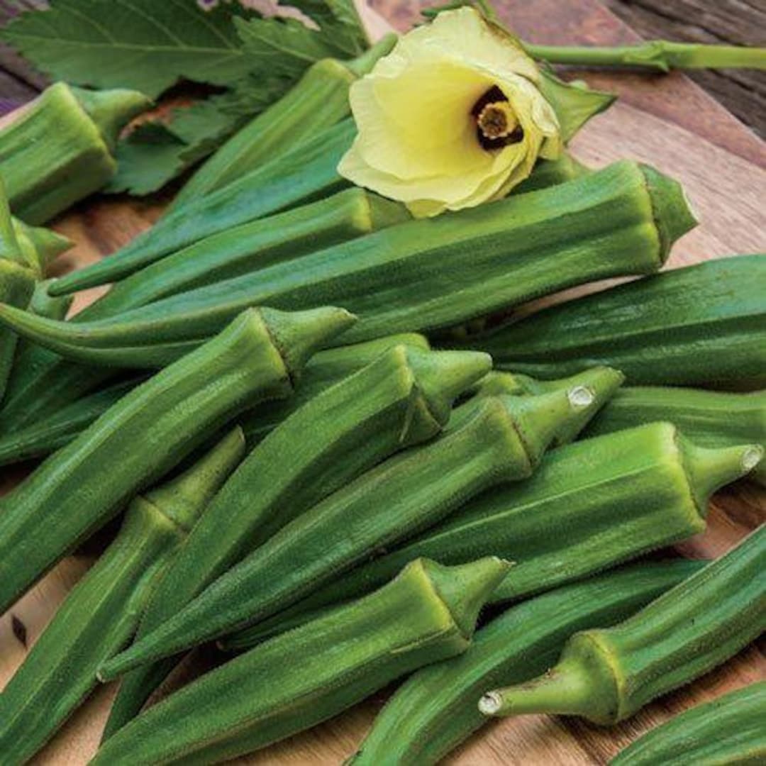 Emerald Velvet Okra Seeds - Packet of 50 Seeds - Palm Beach Seed ...