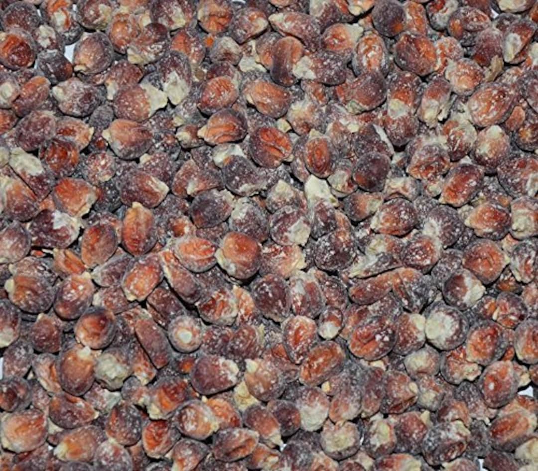 Floriani Red Flint Corn Seeds - Packet of 10 Seeds - Palm Beach Seed ...