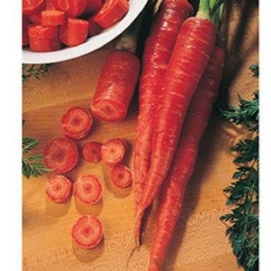 Nutri-red Carrot Seeds (daucus Carota VAR. Sativus) Packet of 100 Seeds ...