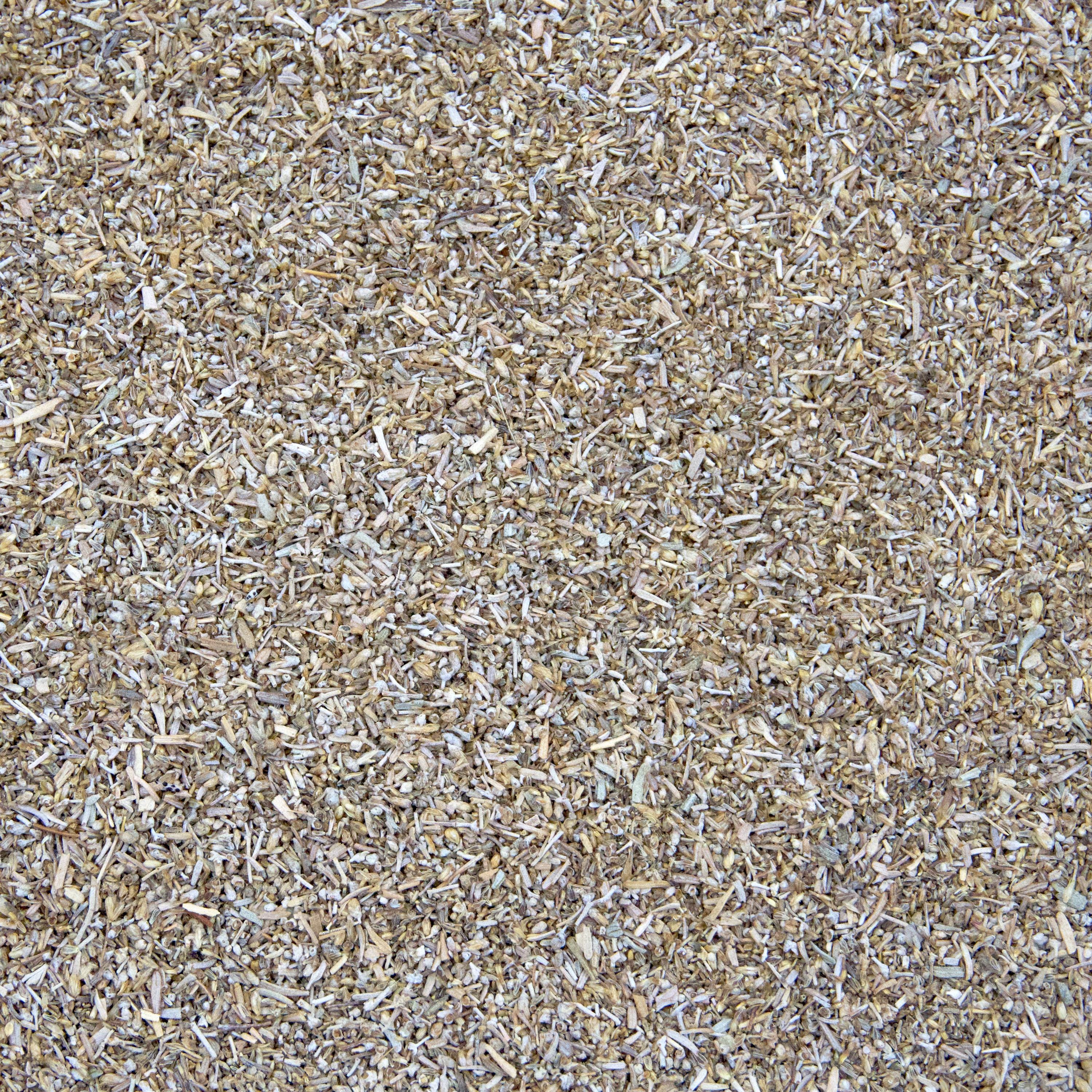 Big Sagebrush Seeds (artemisia Tridentata) 100+ Seeds in Frozen Seed ...