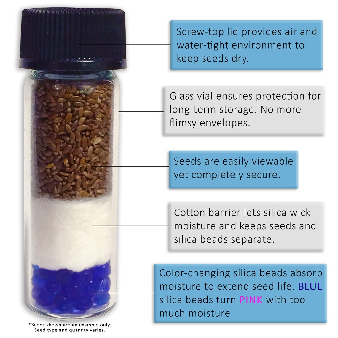 Sweet Violet Seeds viola Odorata 40seeds in Frozen Seed | Etsy