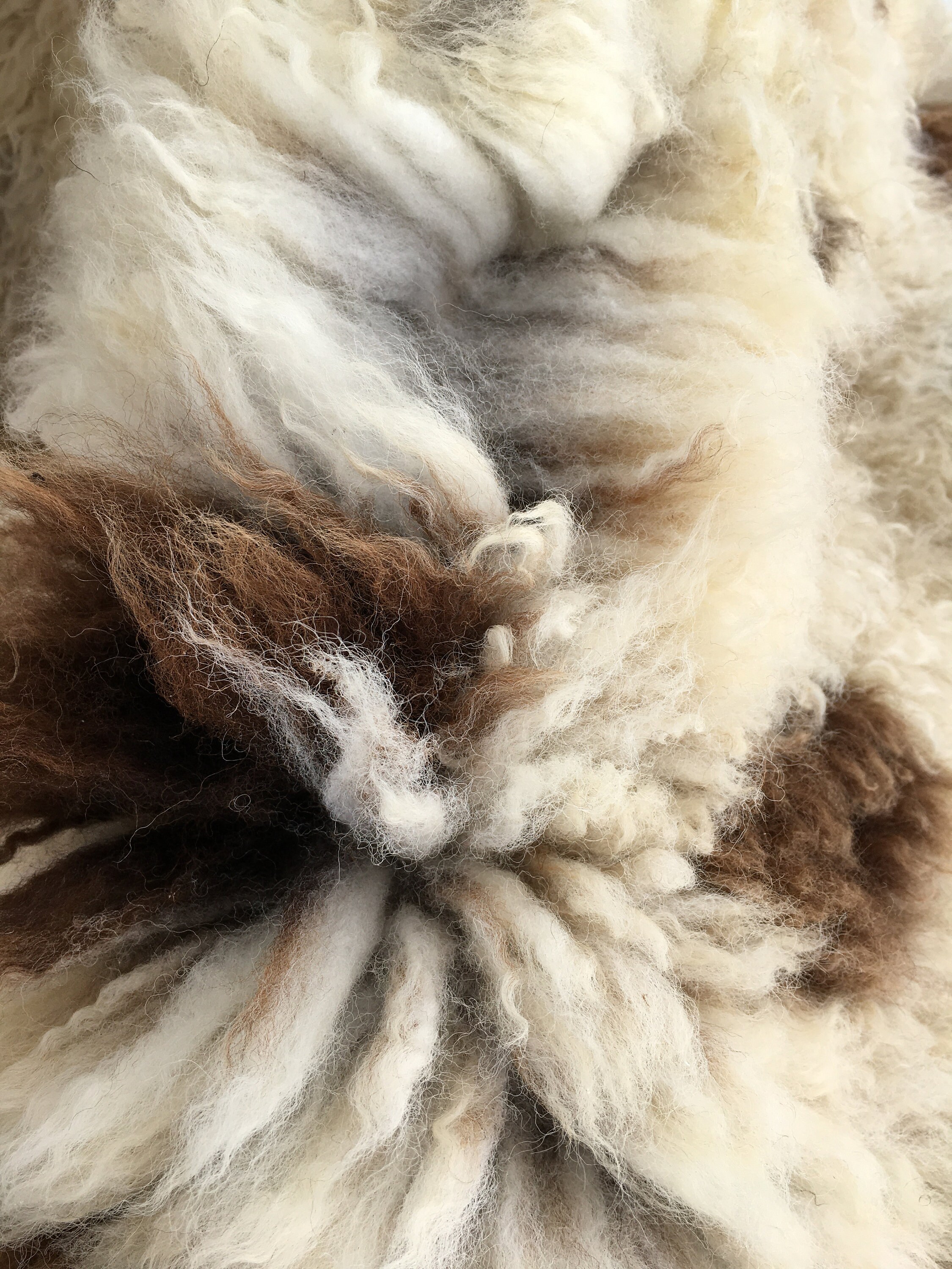 Jacob Sheepskin Naturally Tanned Cushy black-and-white Pelt M2 - Etsy