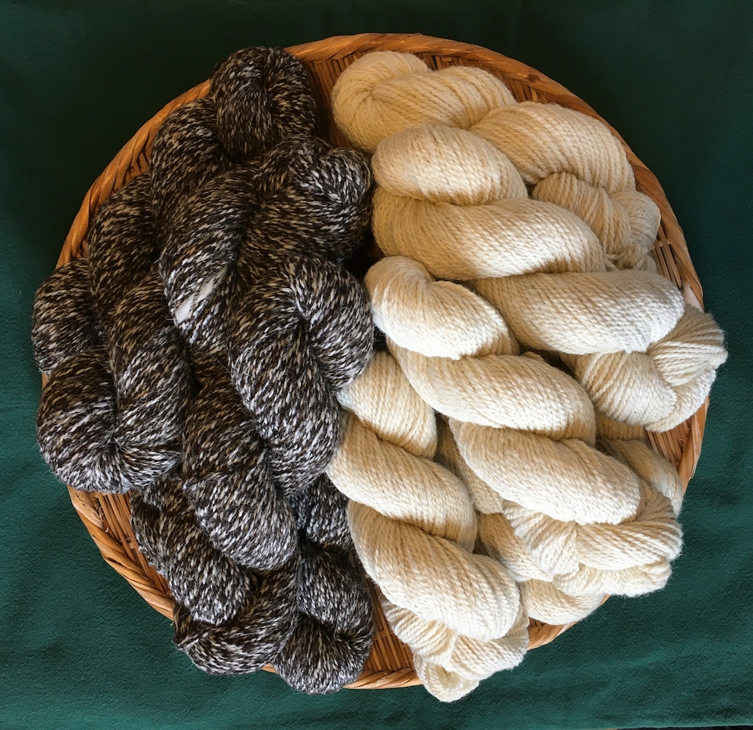Jacob Barberpole Yarn White Yarn Natural Jacob Yarn 2-ply Shave 'em to ...