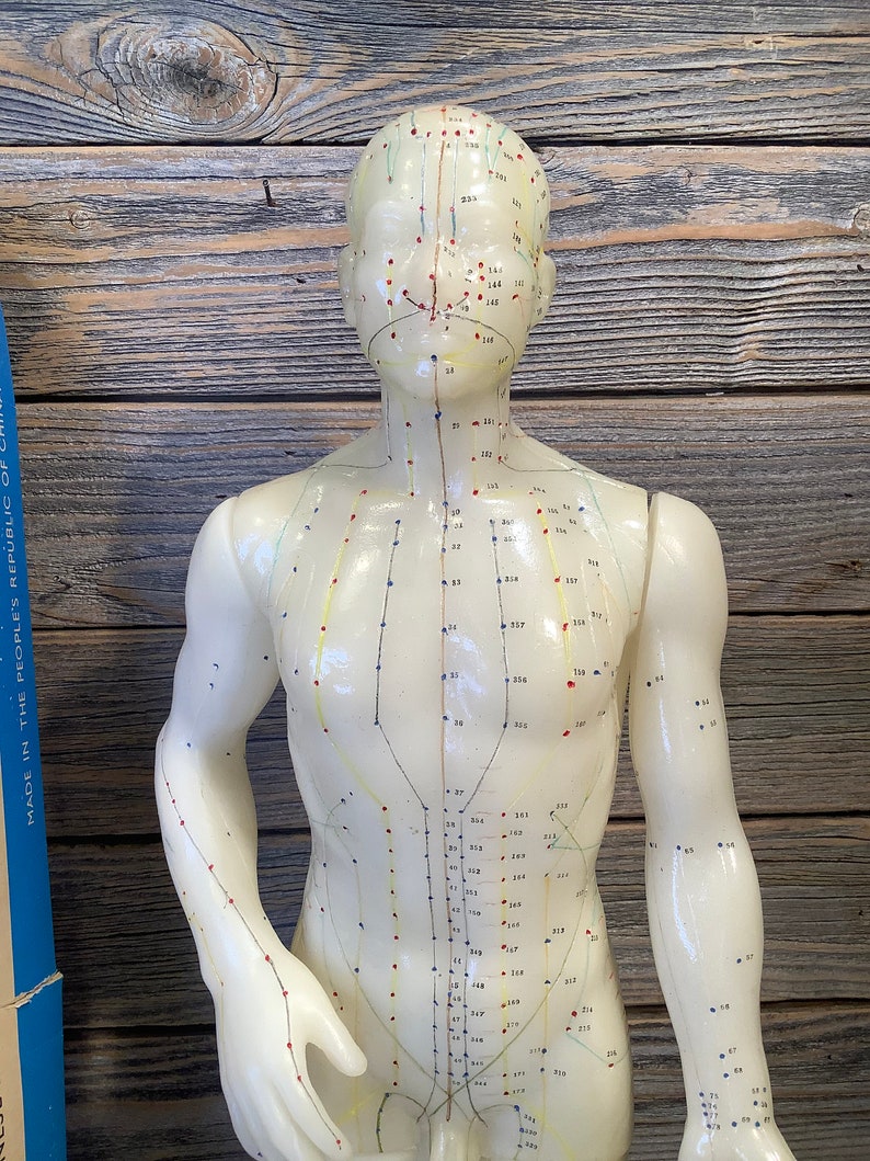 Vintage Good Health Model of Human Body for Acupunture Point | Etsy