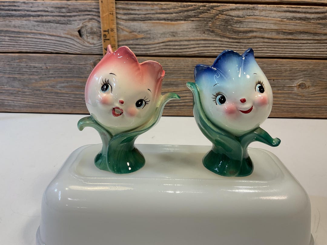 Vintage Lefton Anthropomorphe HTF Shakers Flowers 60’ - Etsy