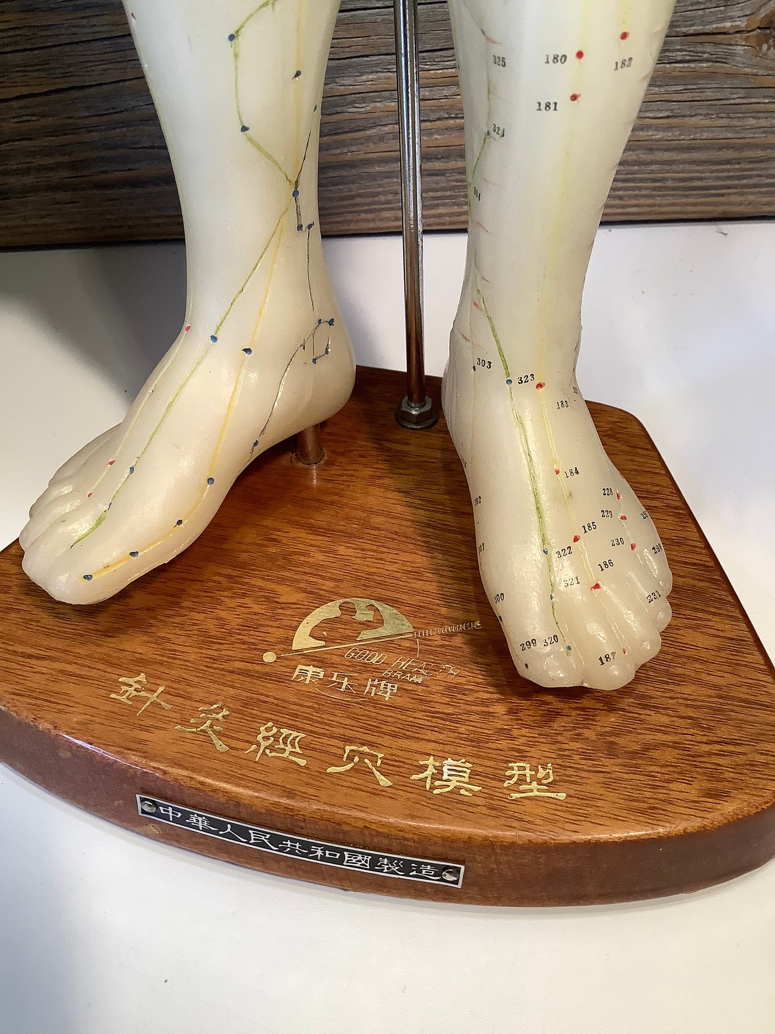 Vintage Good Health Model of Human Body for Acupunture Point - Etsy