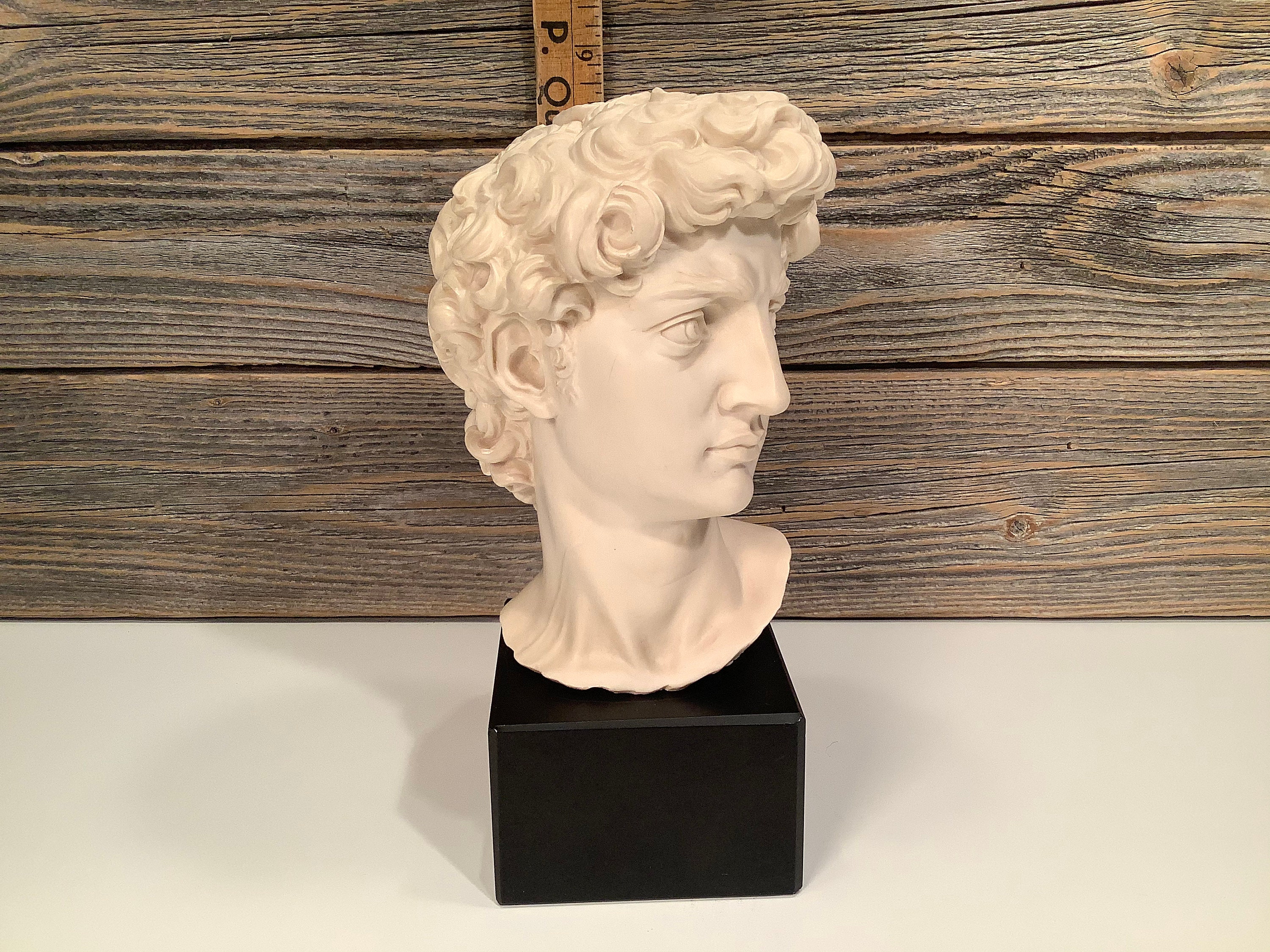 Vintage A. Giannelli bust of David marble base 1965 | Etsy