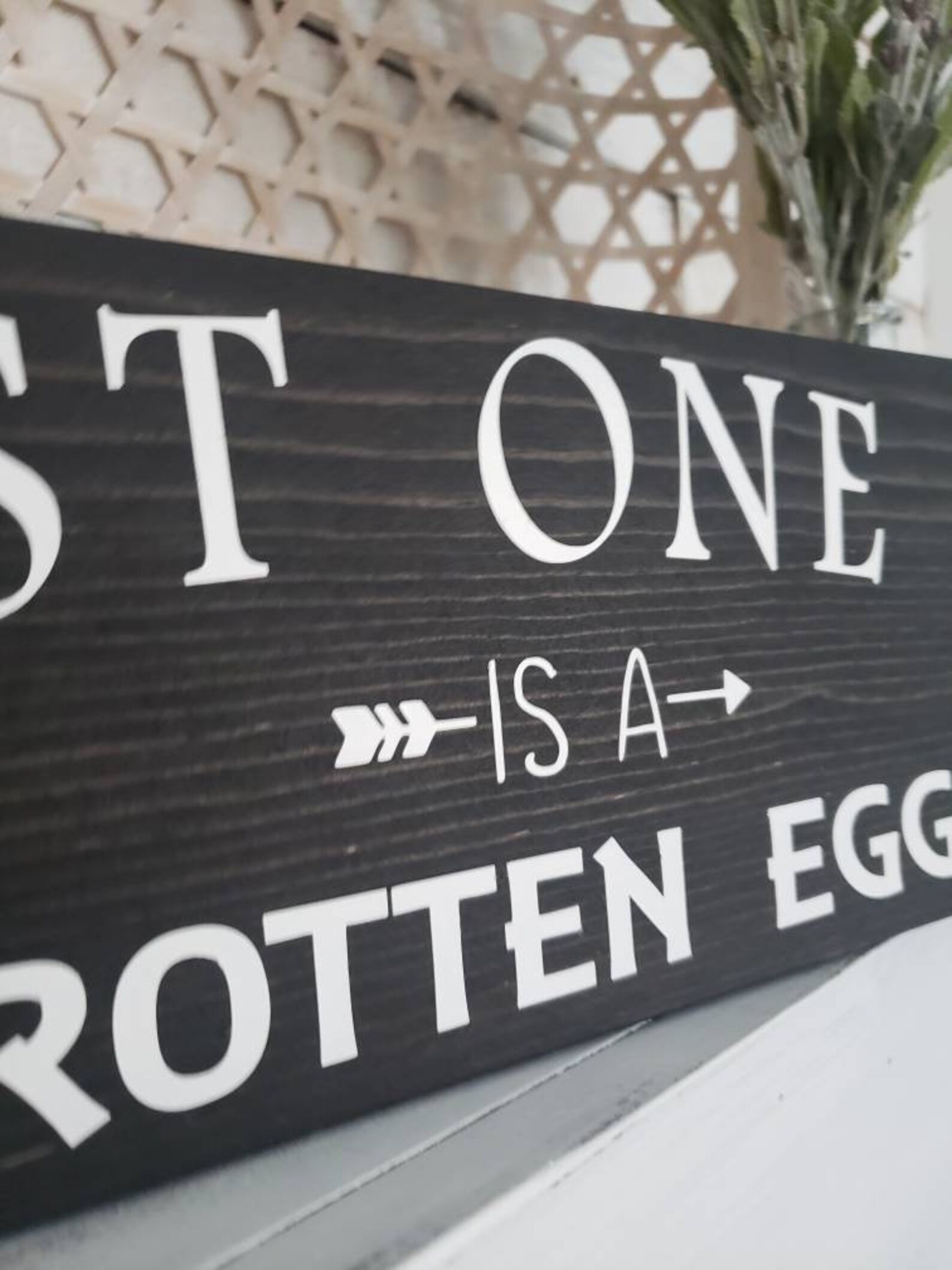Last One in is a Rotten Egg Wood Sign I Chicken Coop Sign I Chicken ...