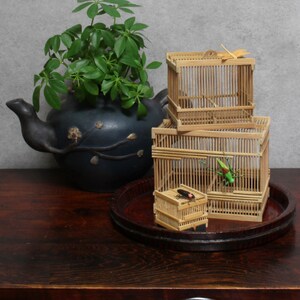 Handmade Miniature Bamboo Insect Cage With Japanese Firefly - Etsy