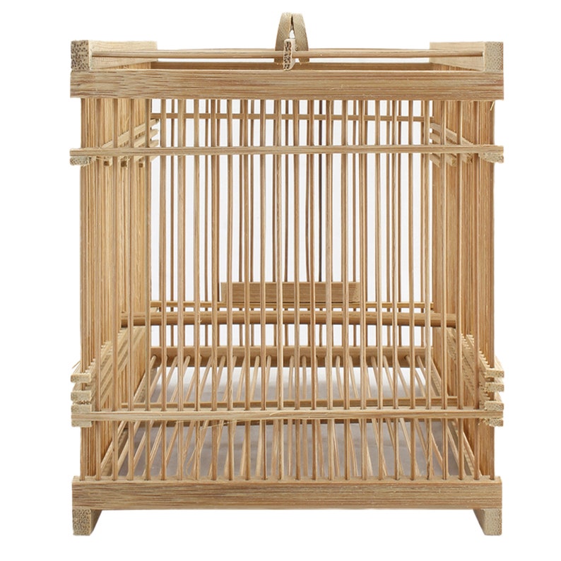 Handmade Large Bamboo Insect Cage With Clay Grasshopper - Etsy