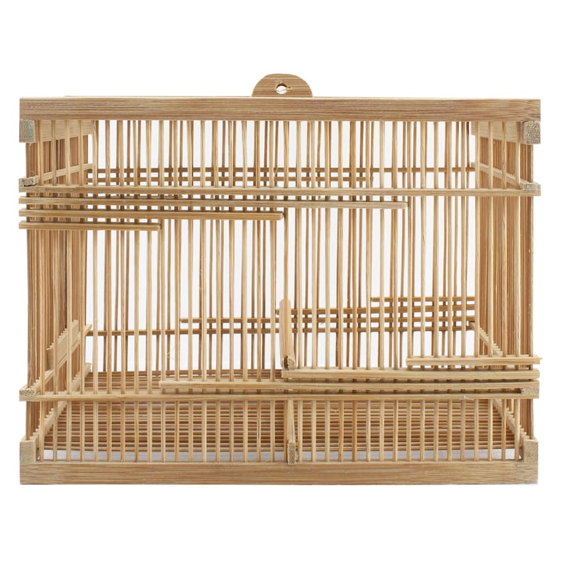 Handmade Large Bamboo Insect Cage With Clay Grasshopper - Etsy