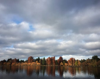 Green Lake Seattle Neighborhood Print - Etsy