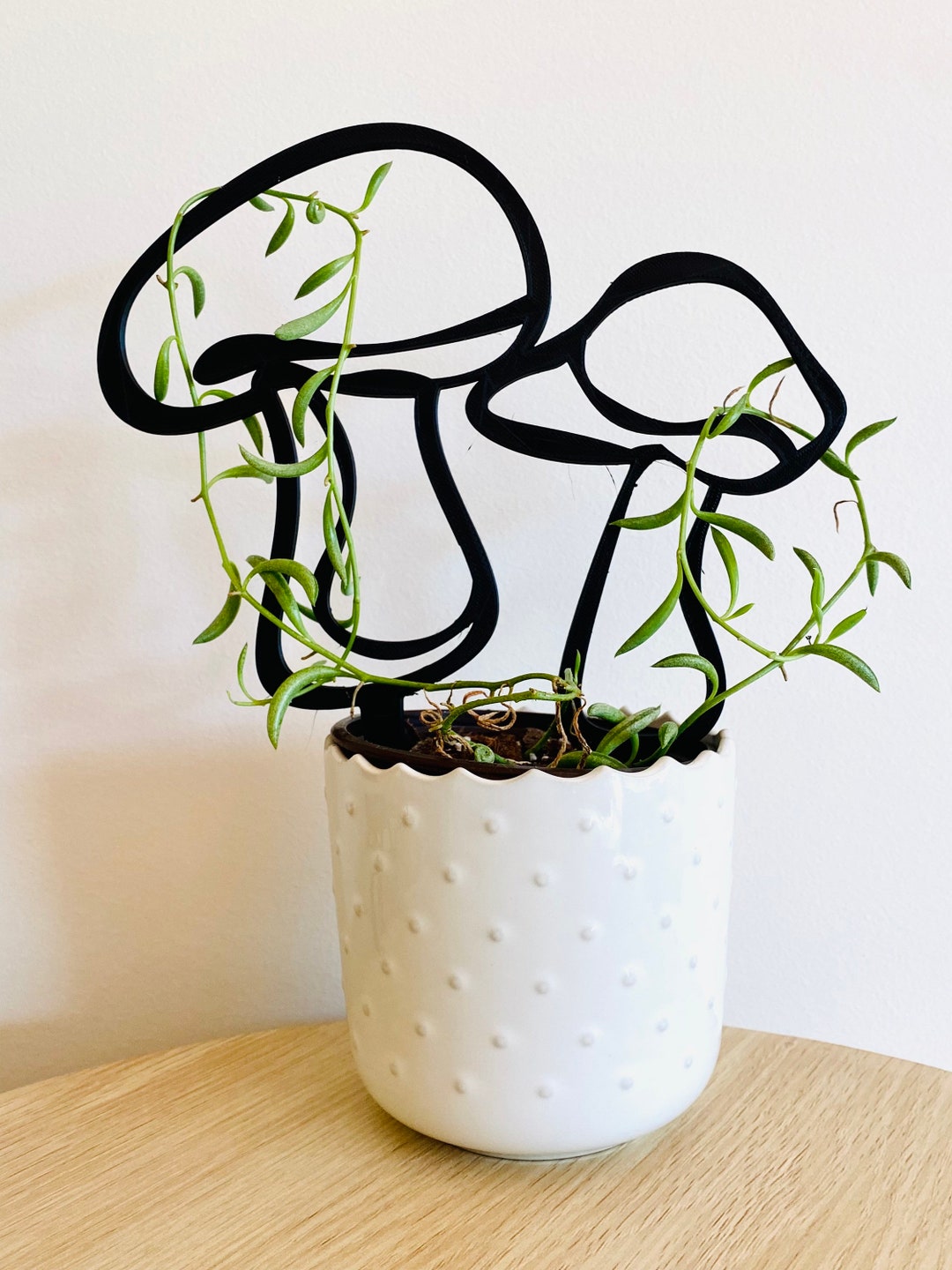 MAYVA Regular Mushroom Trellis for Indoor Plants Climbing Plant Support 3D Printed - Etsy