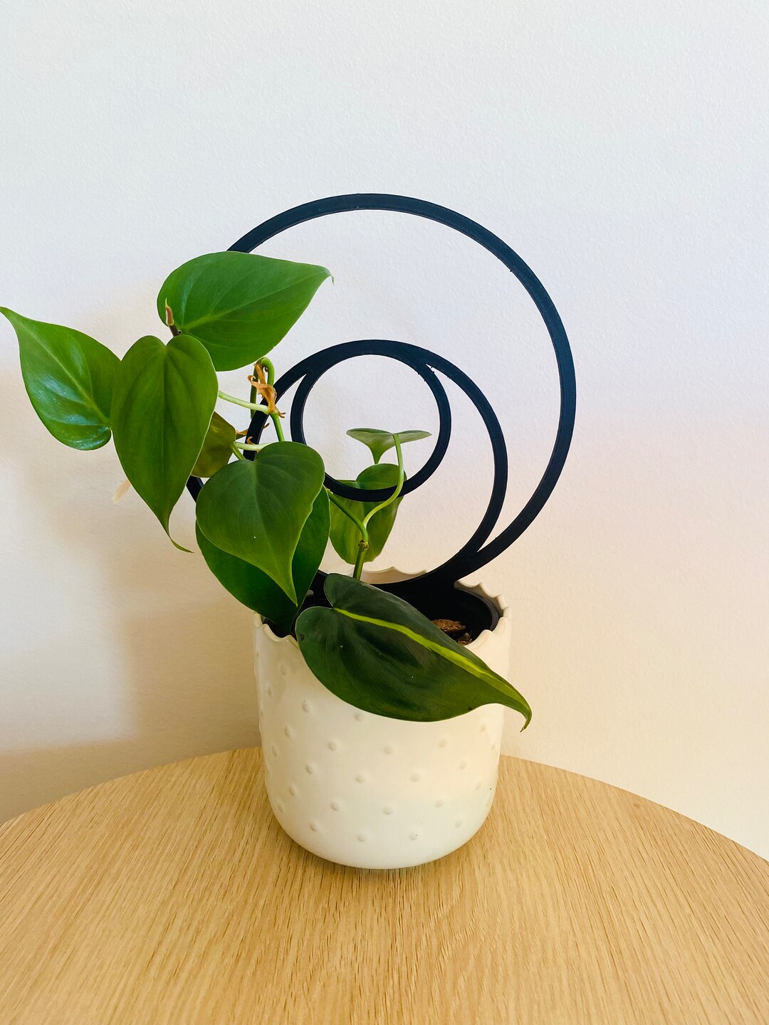 NANCY | Regular Nesting Circles Trellis for Indoor Plants | Climbing ...