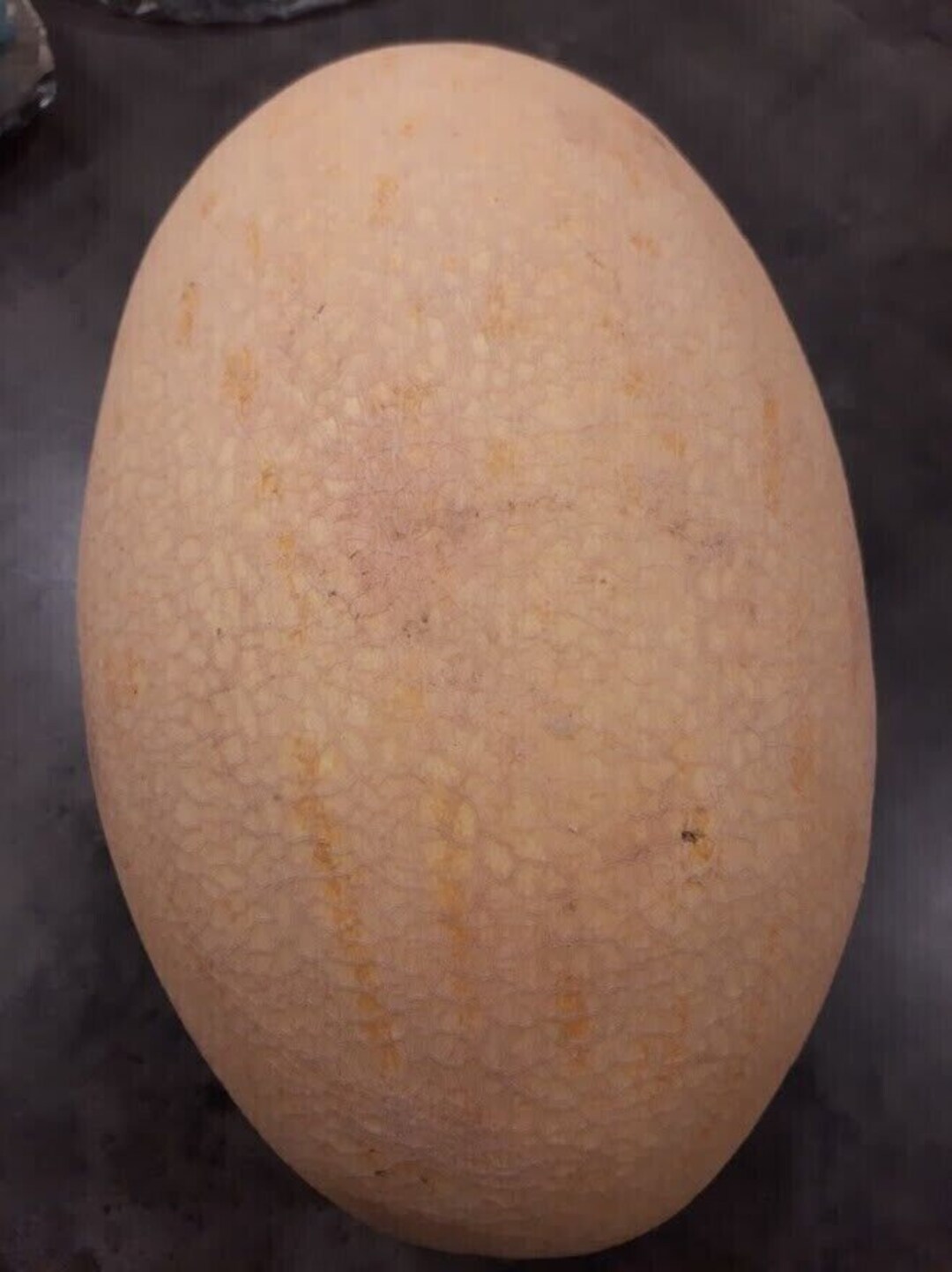 Giant Uzbek Sweetness Melon 5 Seeds Cm 031 - Etsy