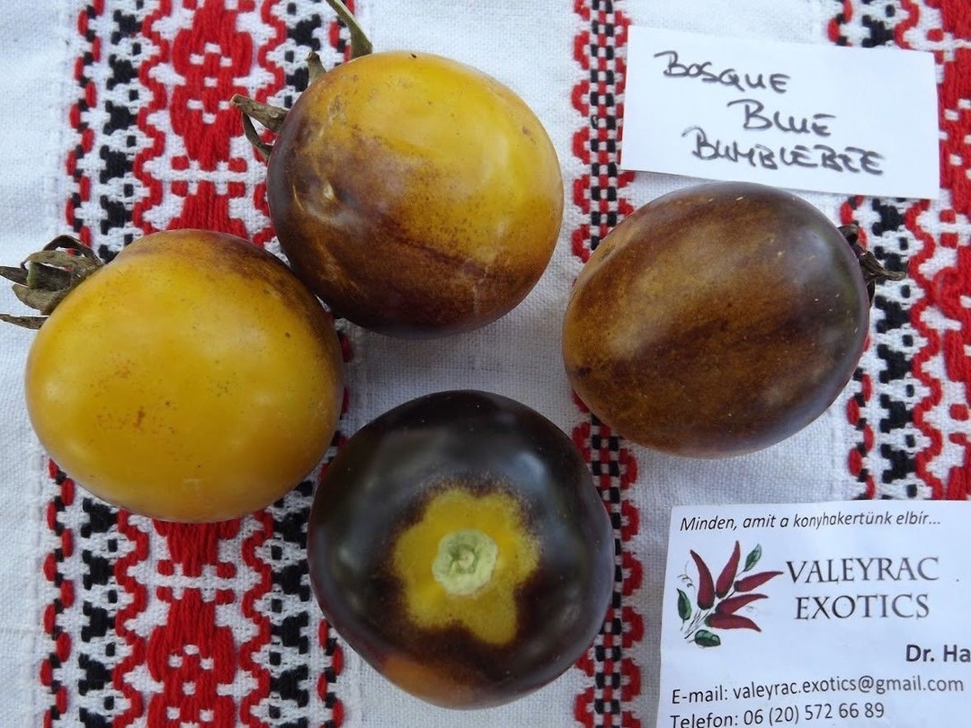 Bosque Blue Bumblebee Tomato - 5+ Seeds - P 193 - Etsy Canada