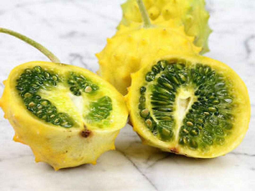 Round Horn Cucumber Kiwano Cucumis Metuliferus 10 Seeds Cu 011 - Etsy