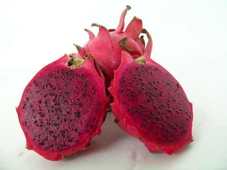 Fruit du dragon rouge - chair rouge - pitahaya - plus de 10 graines Gx ...