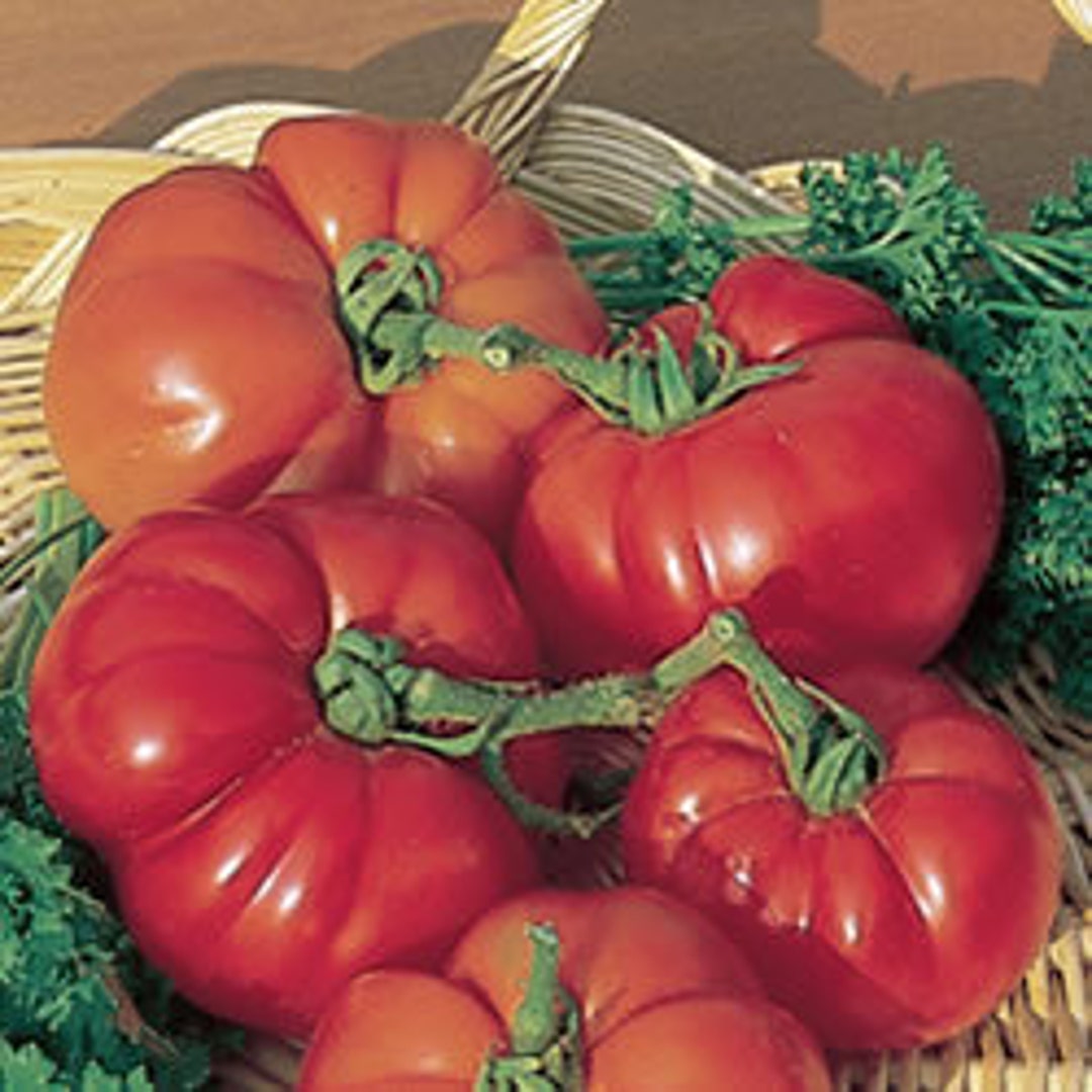 Super Marmande Tomato 5 Seeds P 099 - Etsy Canada