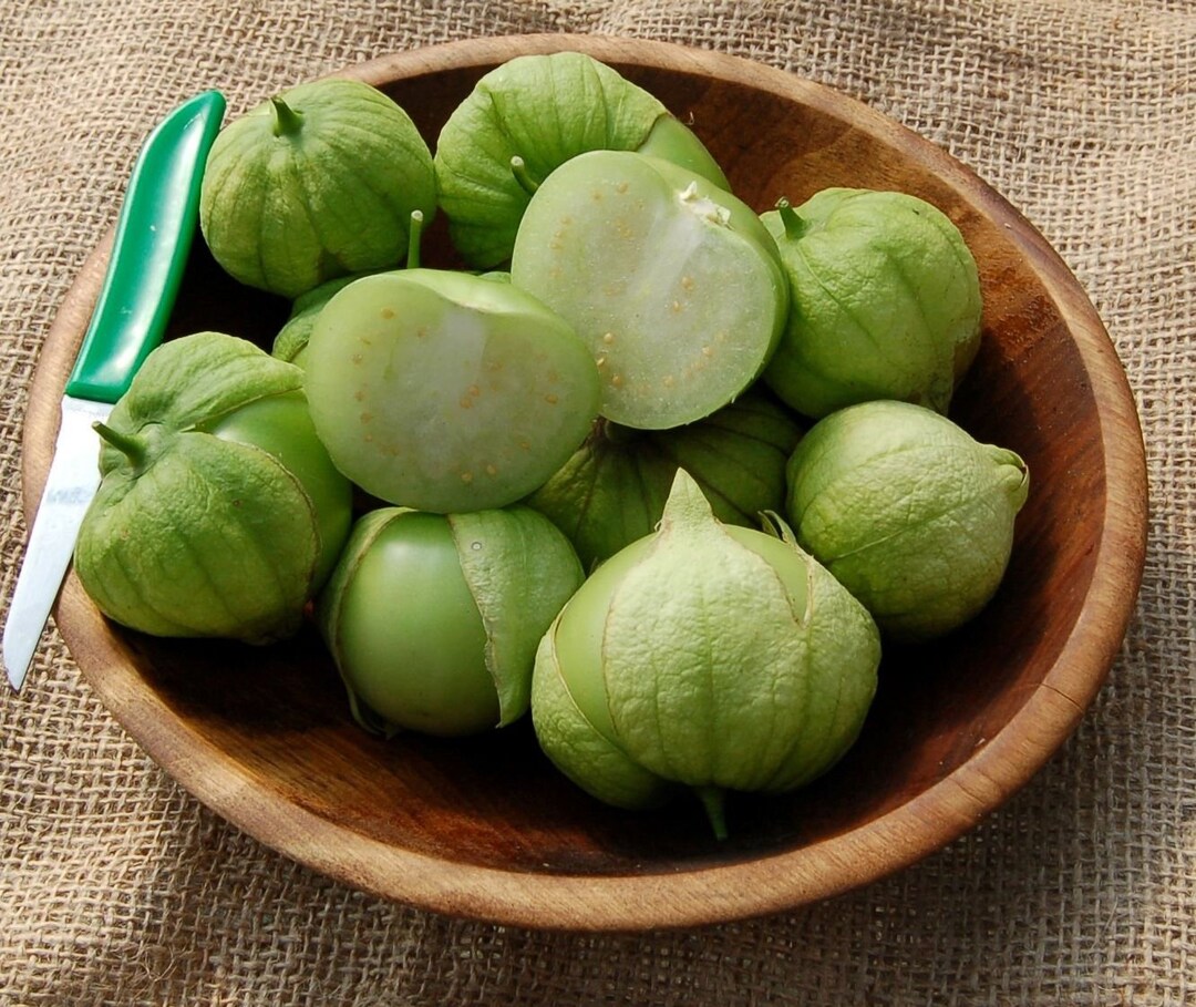 Tomatillo Toma Verde 10 Seeds so 026 - Etsy