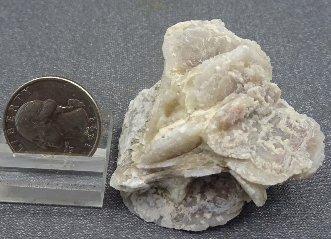 Quartz Pseudomorph After Gypsum ' Desert Rose', Nebraska Mineral ...