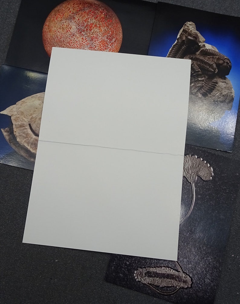 Mineral/fossil Themed Greeting Cards - Etsy