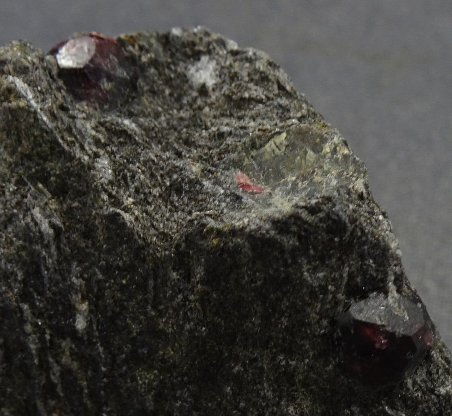 Almandine Garnet in Mica Schist Alaska Mineral Specimen for - Etsy
