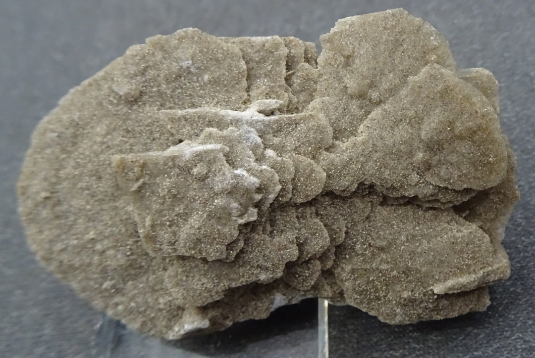 Bladed Gypsum "desert Rose", Mexico Mineral Specimen for Sale - Etsy