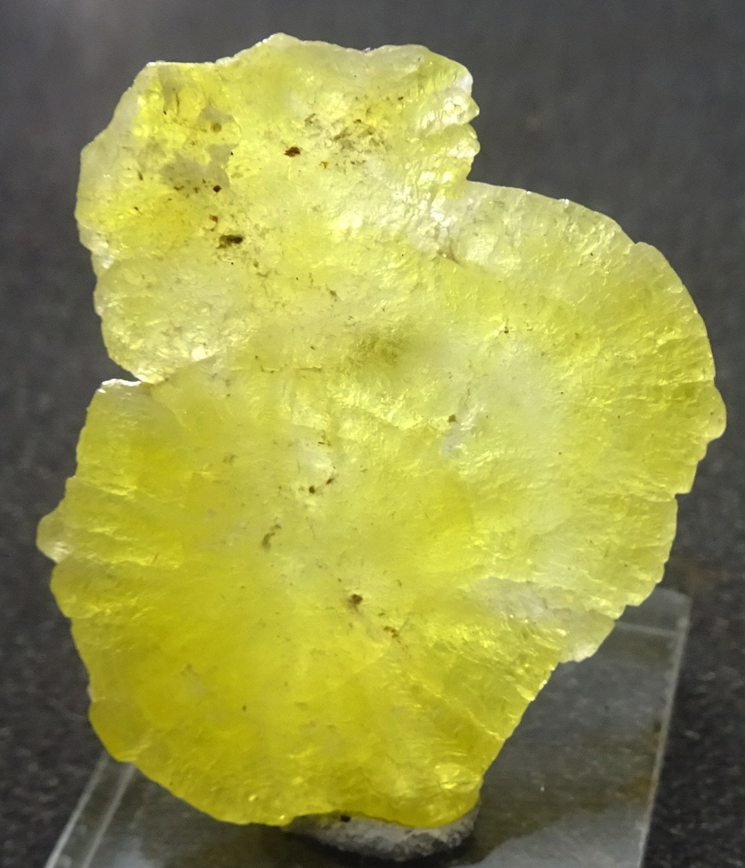 Brucite, Bright Yellow Botryoidal Specimen, Pakistan - Mineral Specimen ...