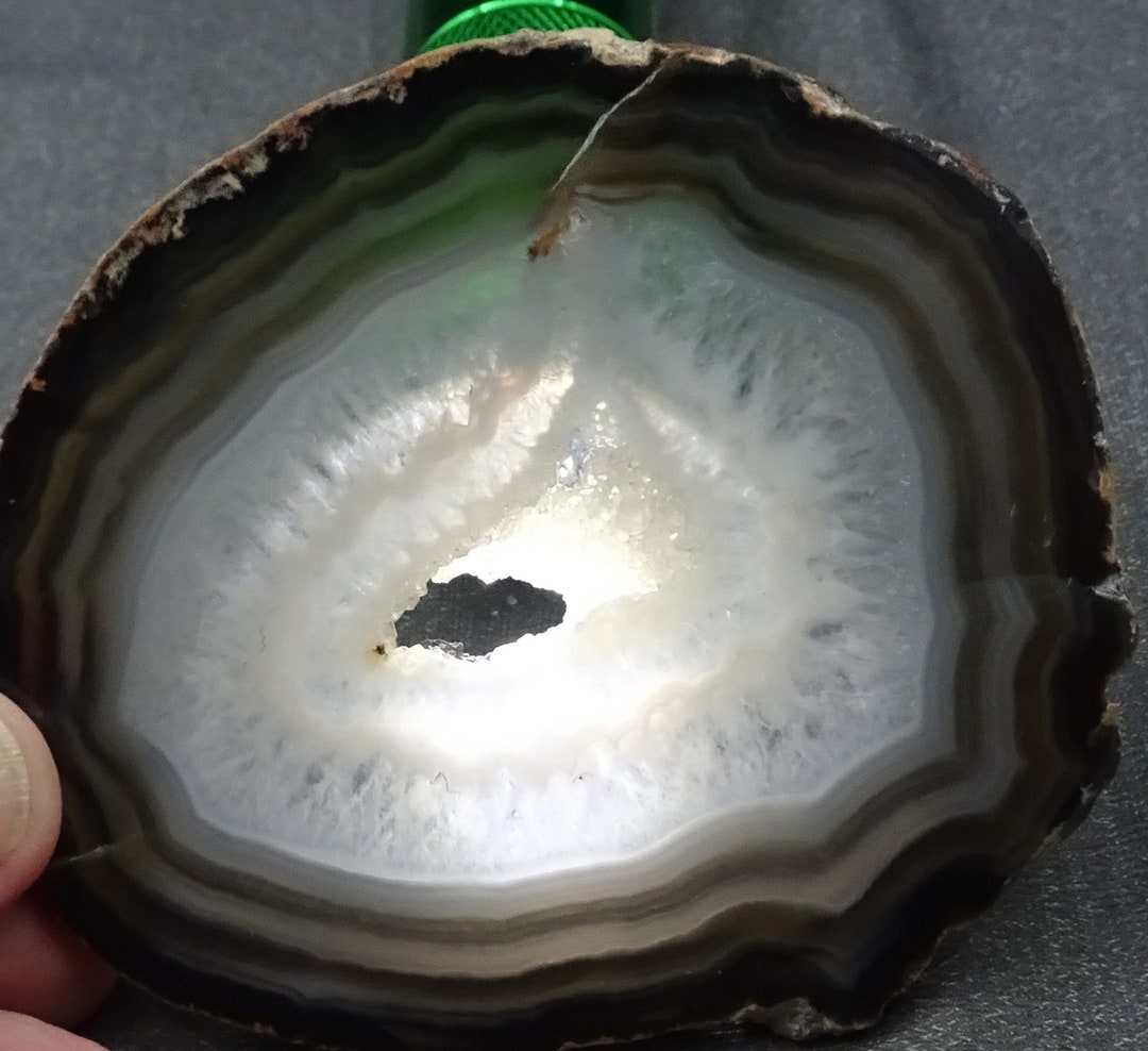 Banded Agate Slice, Brazil - Mineral Specimen for Sale - Etsy