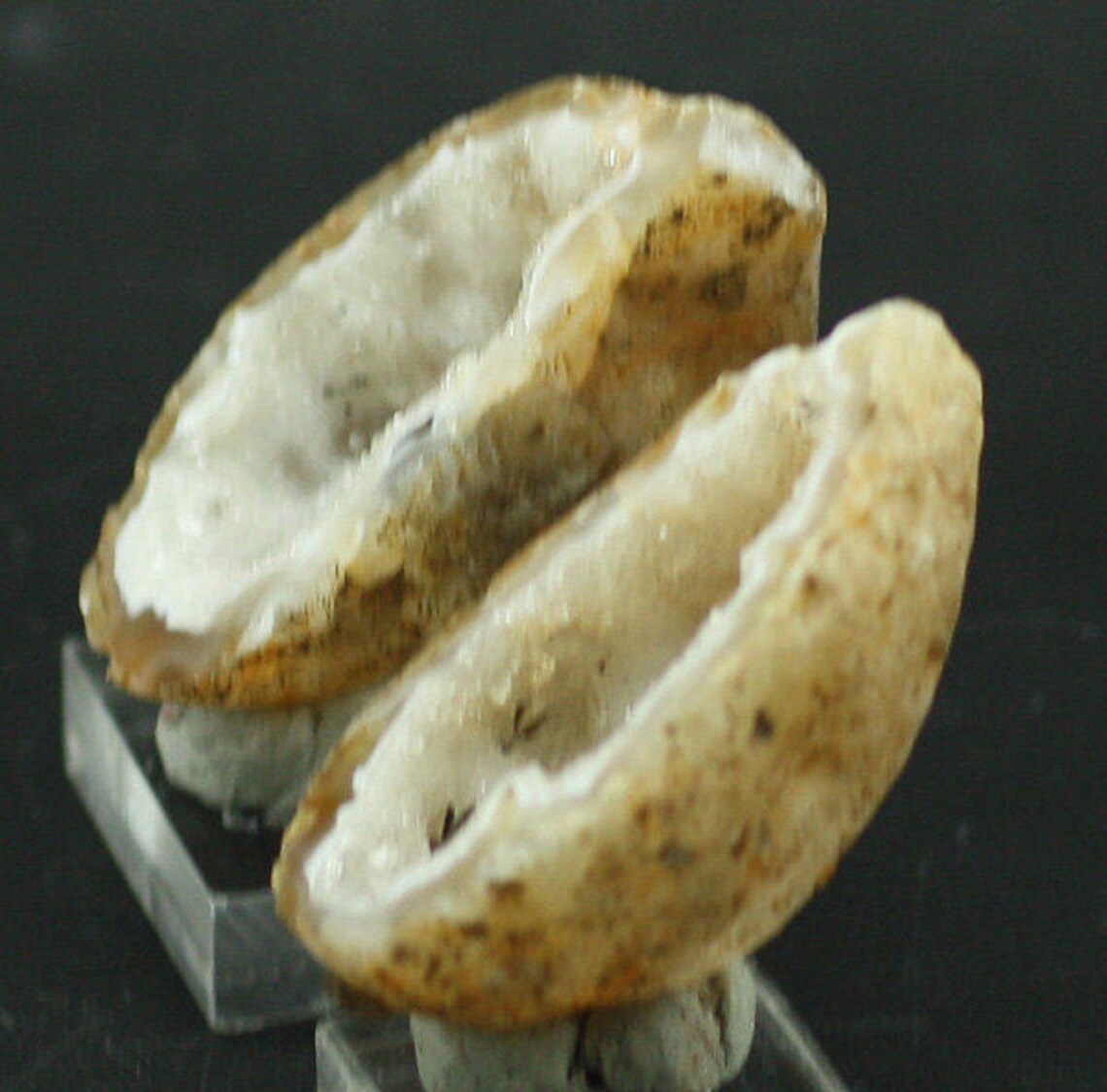 Sparkling 'agate Pot' Geode Matching Polished Halves | Etsy