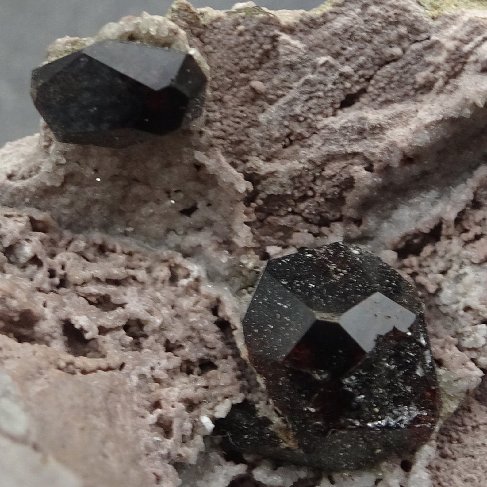 Almandine Garnet in Rhyolite Nevada Mineral Specimen for - Etsy