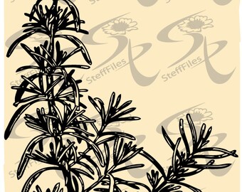 Rosemary svg | Etsy