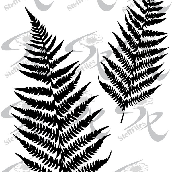 Fern Svg - Etsy