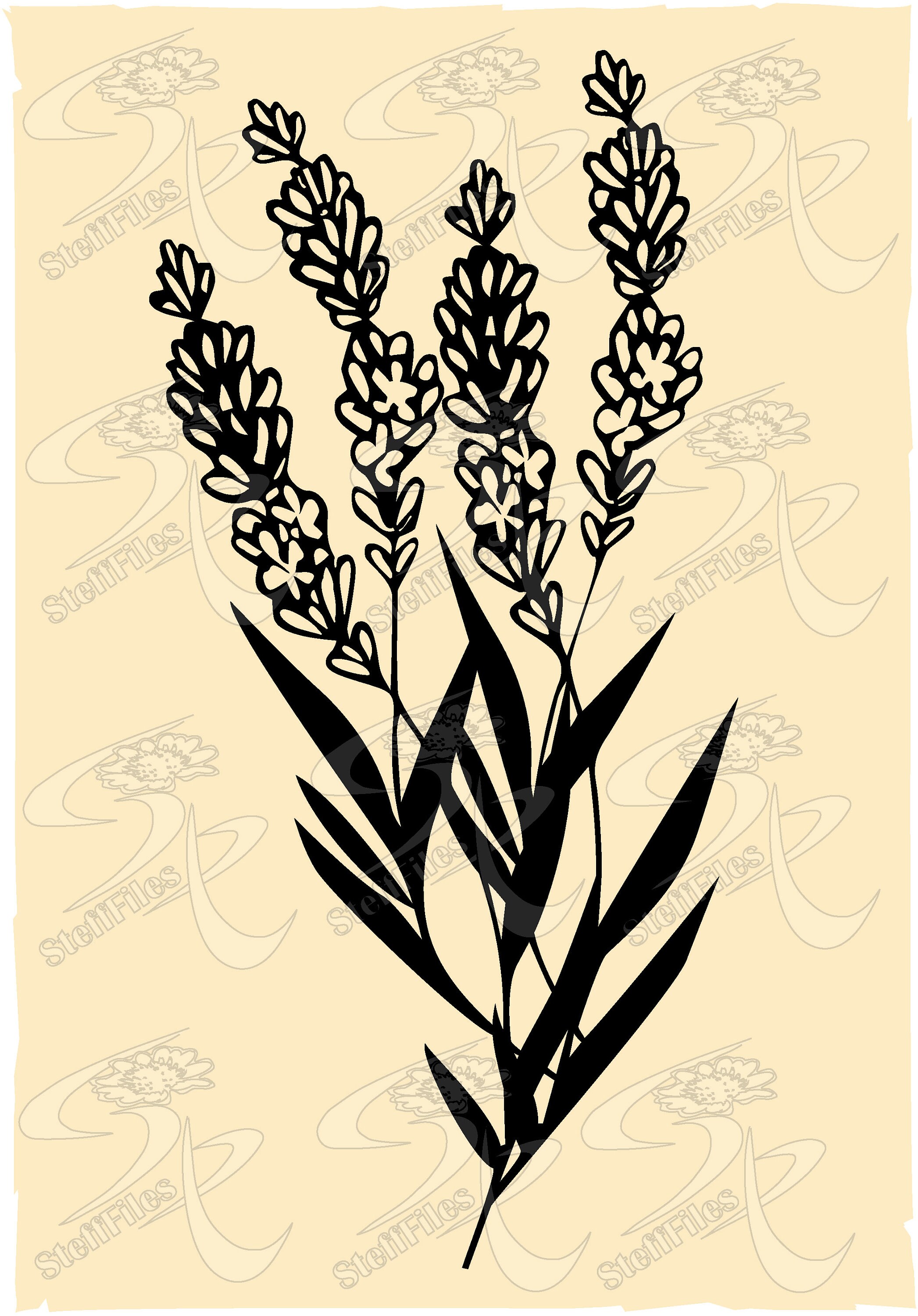 Lavender Herb Clipart