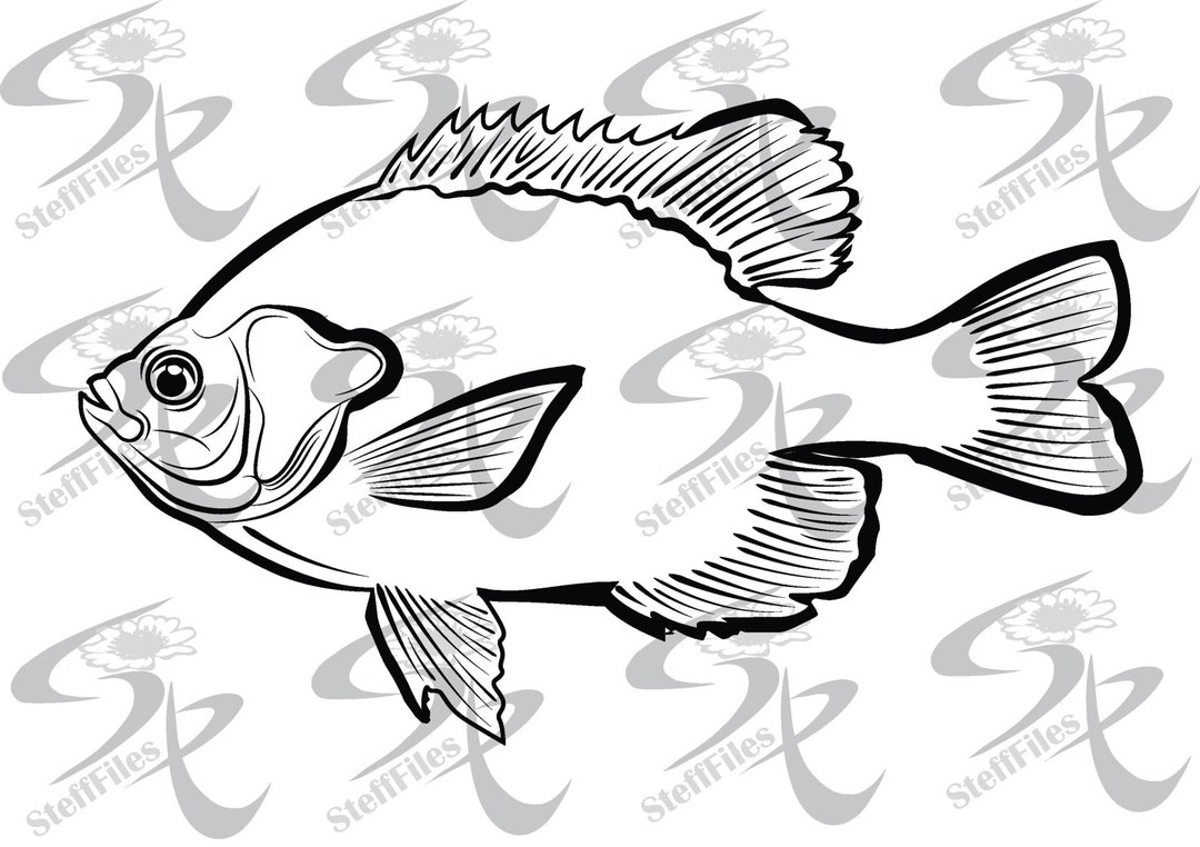 FISH SVG DXf, Clip Art, AI, png, eps, jpg, Descargar archivos, Digital ...